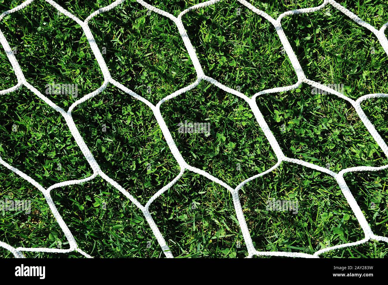 White football net on green grass background Stock Photo - Alamy