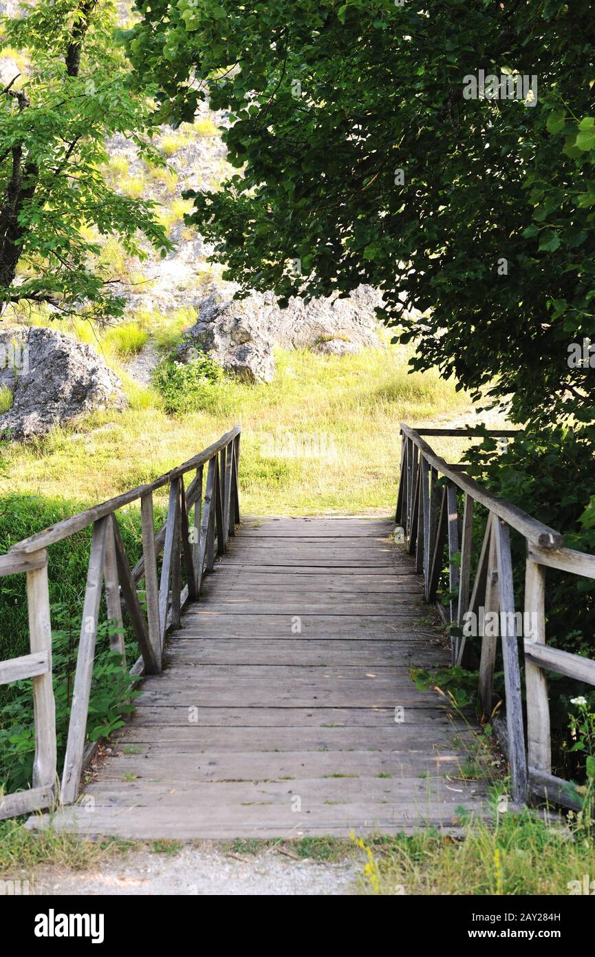 wood bridge in the forest Stock Photo - Alamy