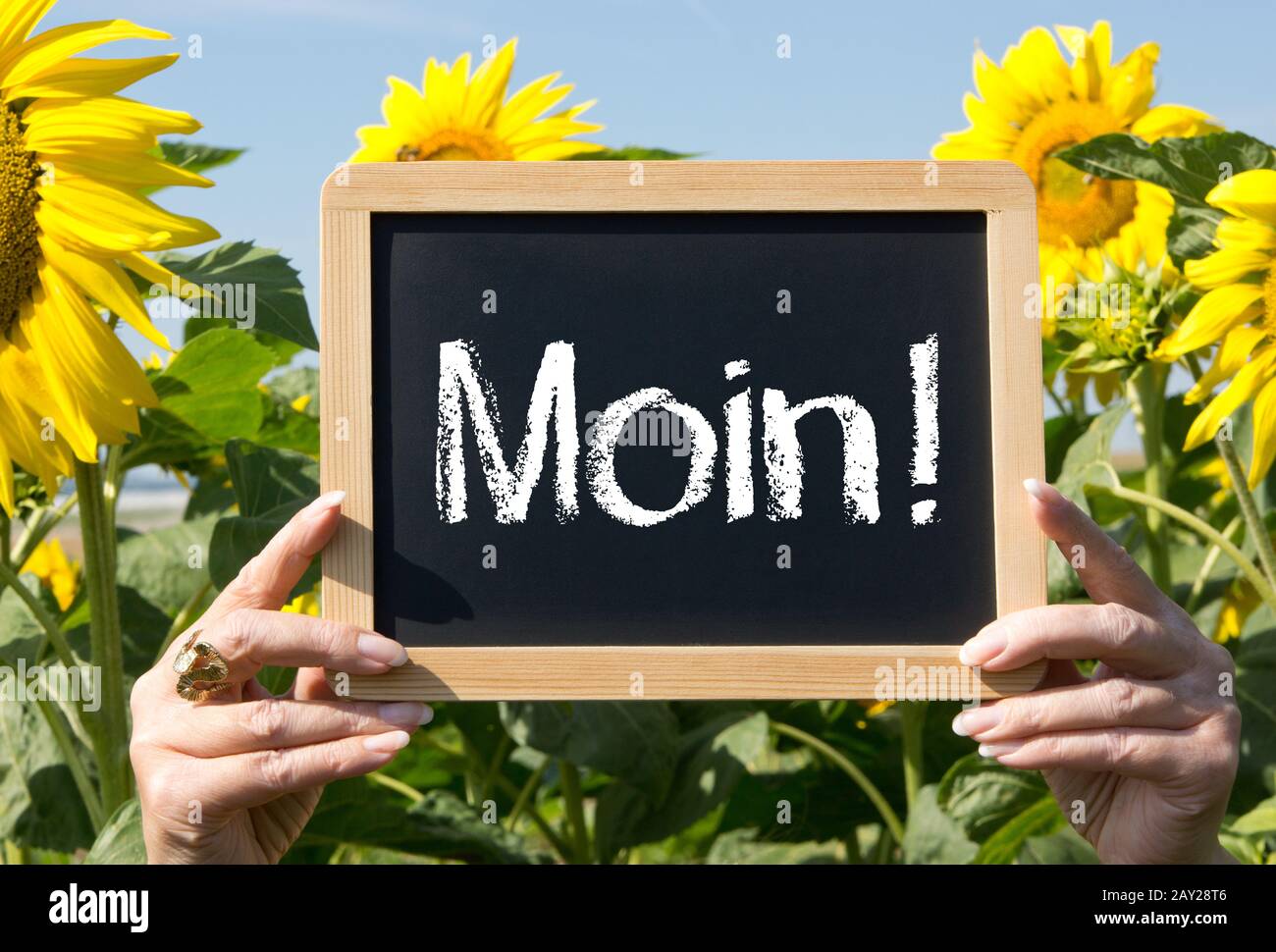 Moin hi-res stock photography and images - Alamy