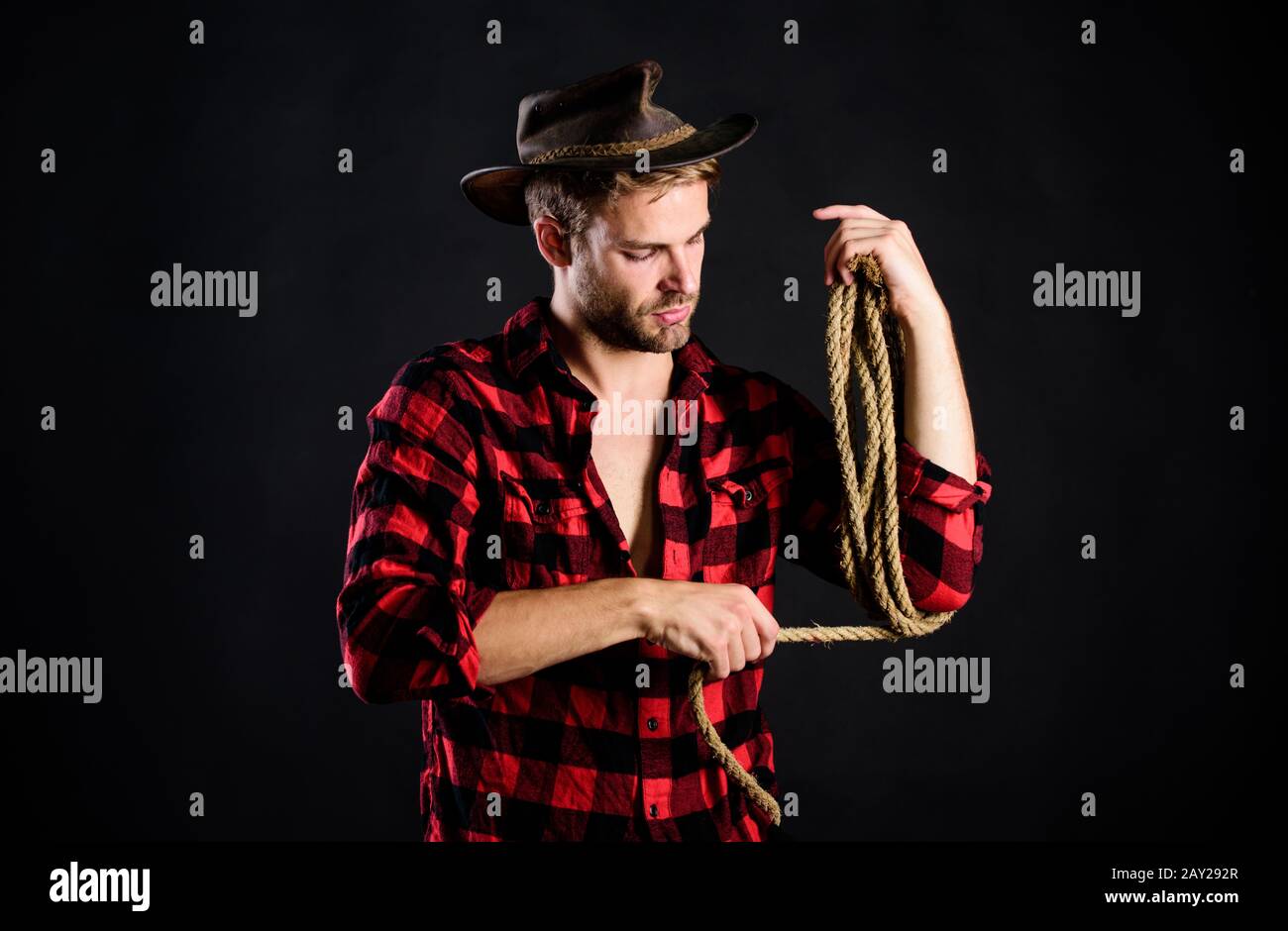 born roping. wild west rodeo. man in hat black background. cowboy with ...