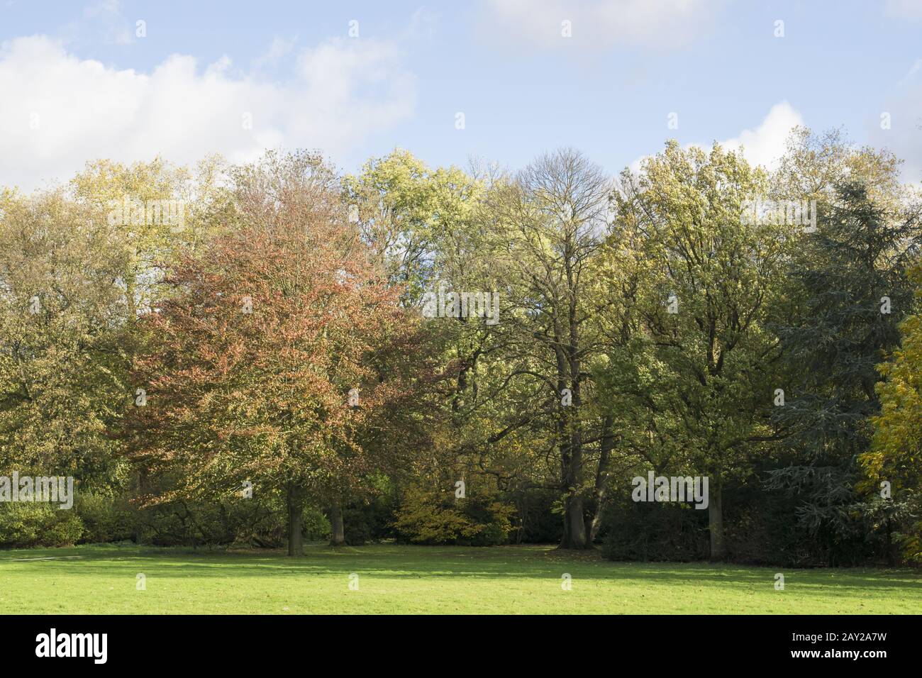 Herten castle park hi-res stock photography and images - Alamy