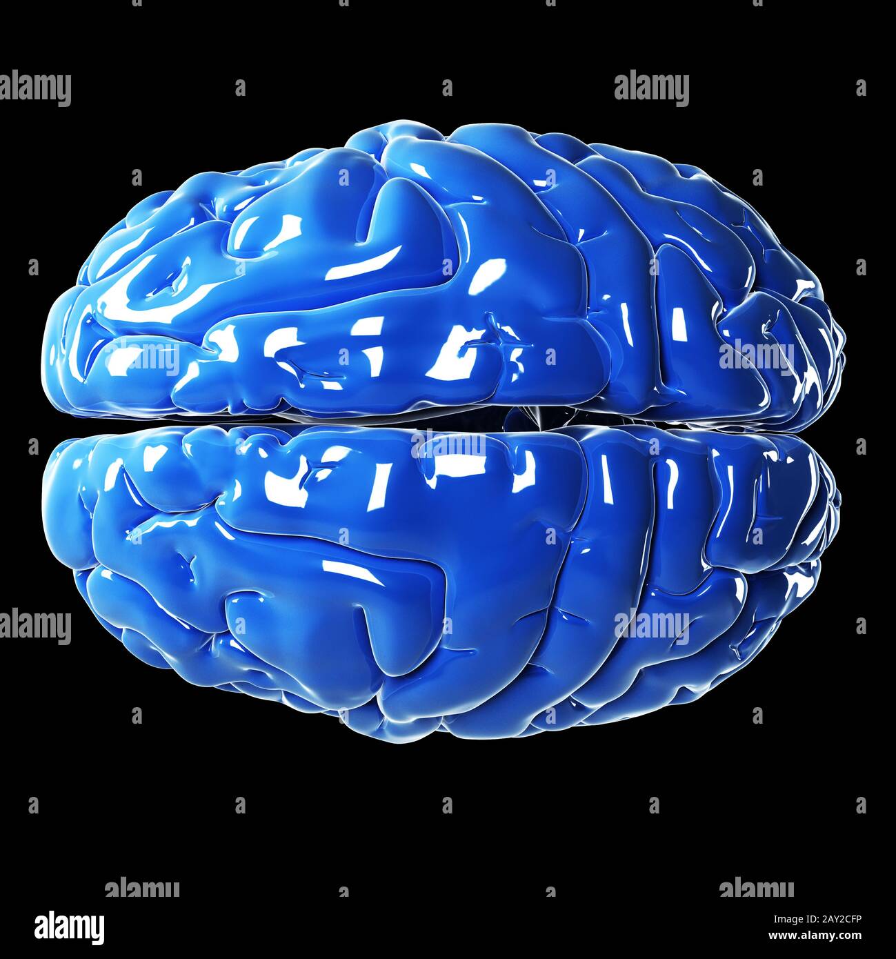 3d rendered illustration - glossy blue brain Stock Photo - Alamy