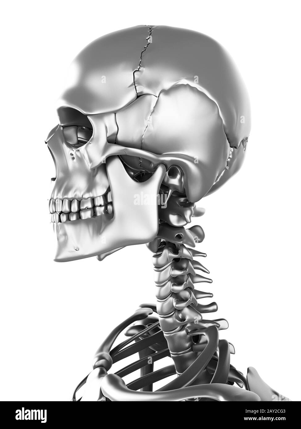 3d rendered illustration of a metal skeleton Stock Photo - Alamy