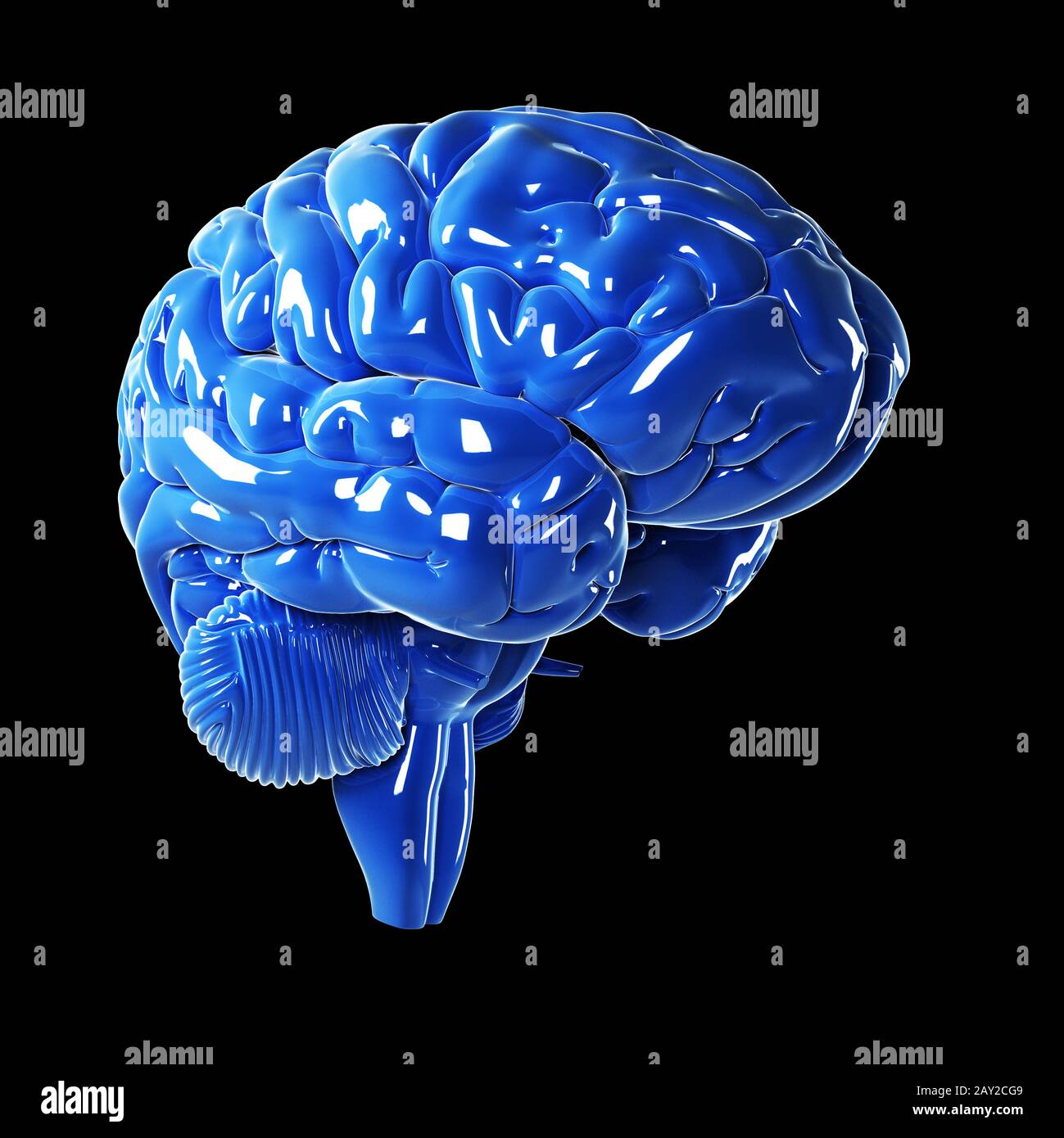 3d rendered illustration - glossy blue brain Stock Photo - Alamy