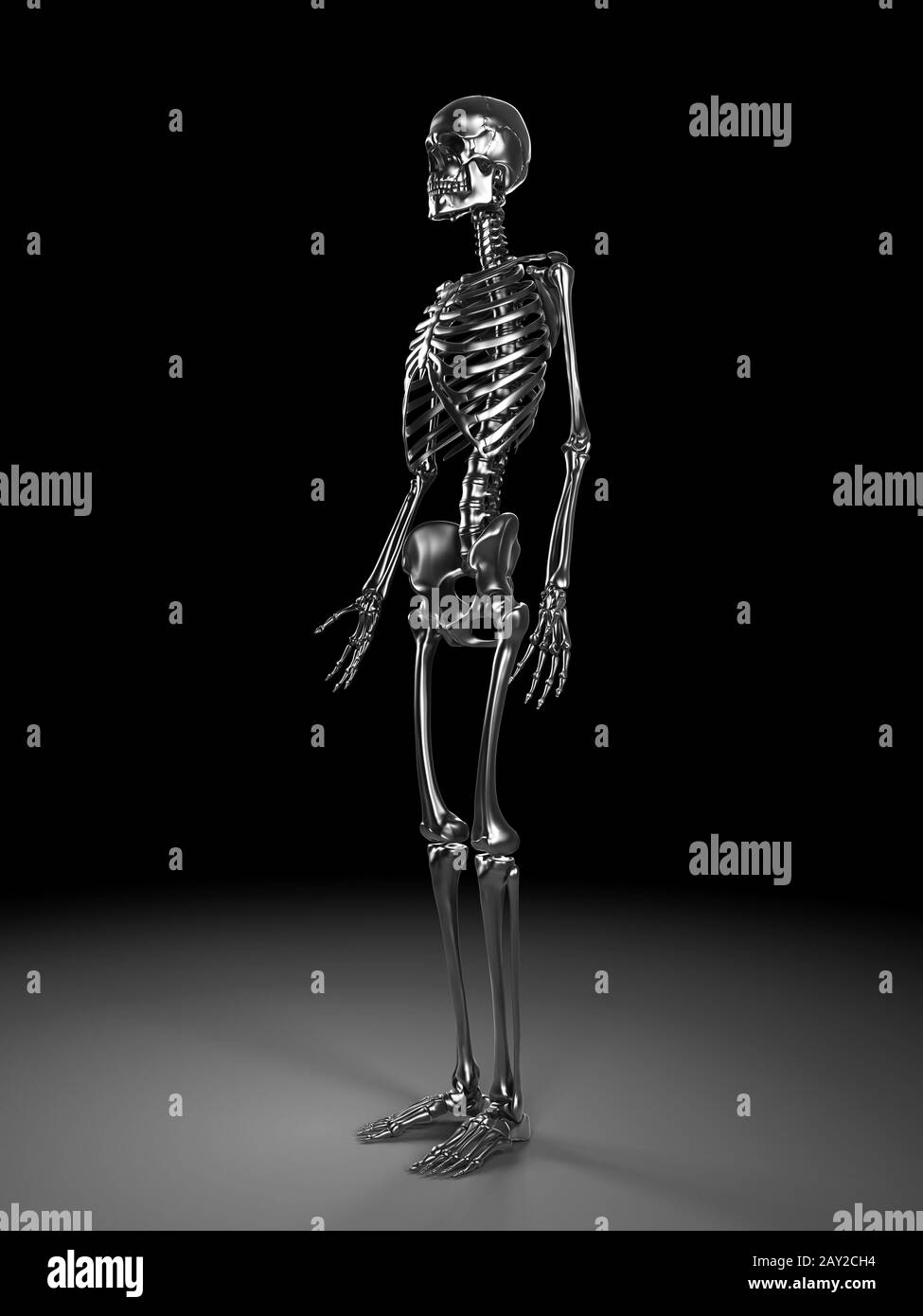 3d rendered illustration - metal skeleton Stock Photo - Alamy