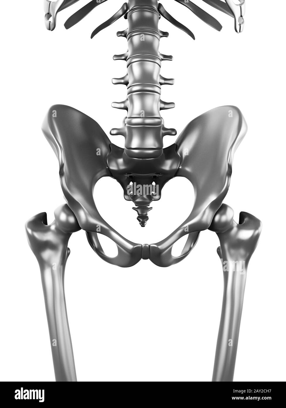 3d rendered illustration of a metal skeleton Stock Photo - Alamy