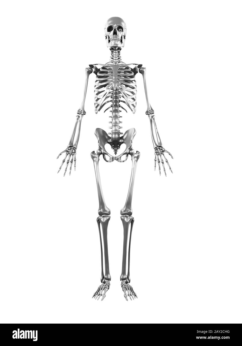 3d rendered illustration of a metal skeleton Stock Photo - Alamy