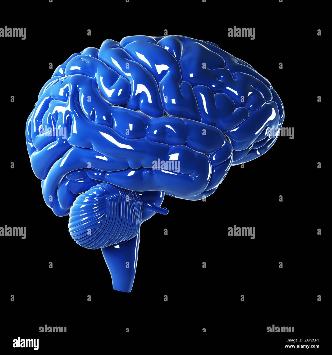 3d rendered illustration - glossy blue brain Stock Photo - Alamy