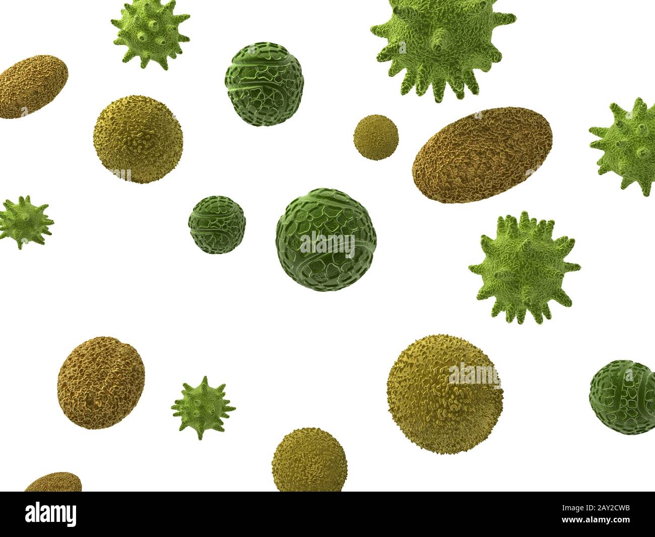 3d rendered illustration of some pollen Stock Photo - Alamy