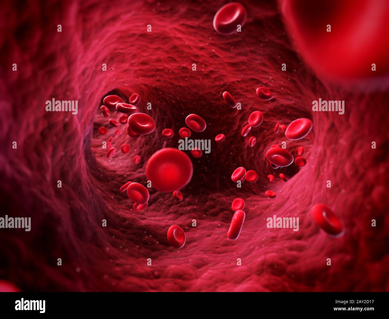 3d rendered illustration of human blood cells Stock Photo - Alamy
