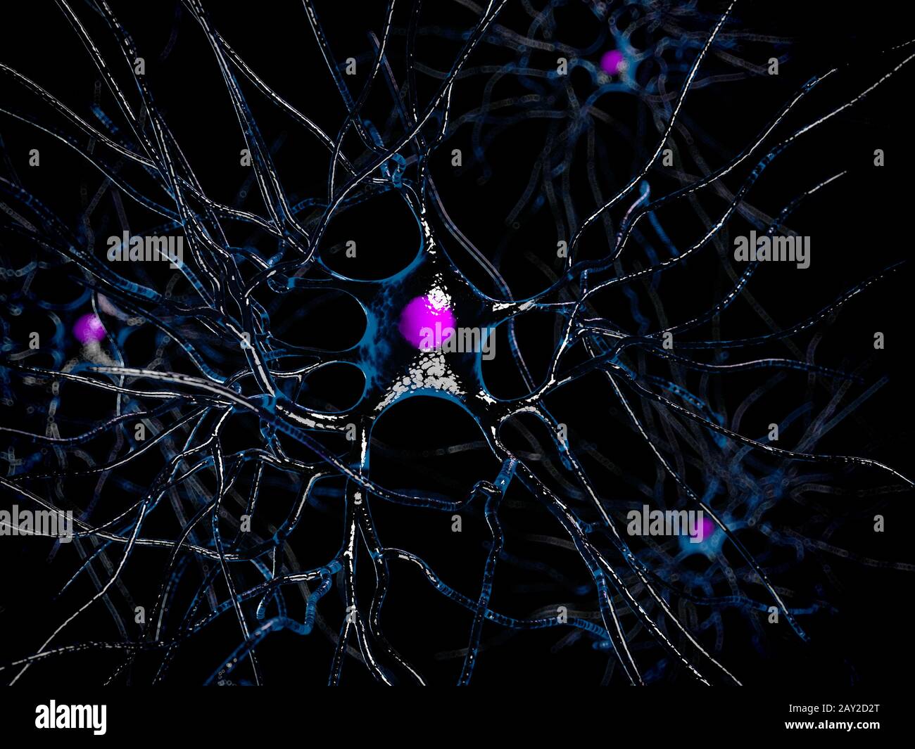 3d rendered illustration of a nerve cell Stock Photo - Alamy