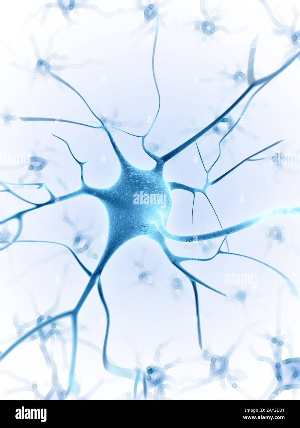 3d rendered illustration of a nerve cell Stock Photo - Alamy
