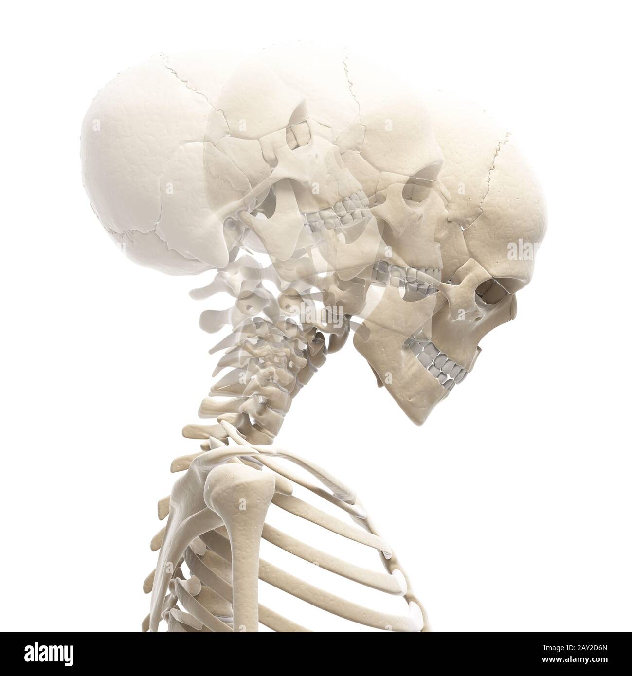 guy bending his neck Stock Photo - Alamy