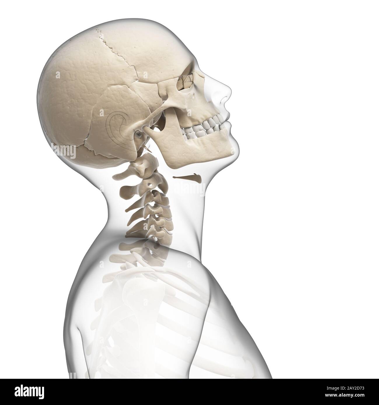 guy bending his neck Stock Photo - Alamy