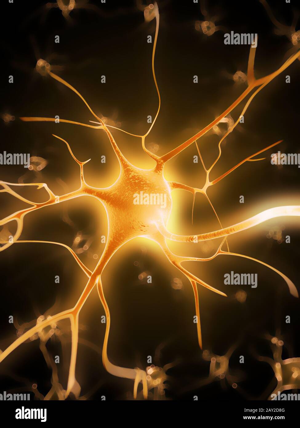 3d rendered illustration of a nerve cell Stock Photo - Alamy