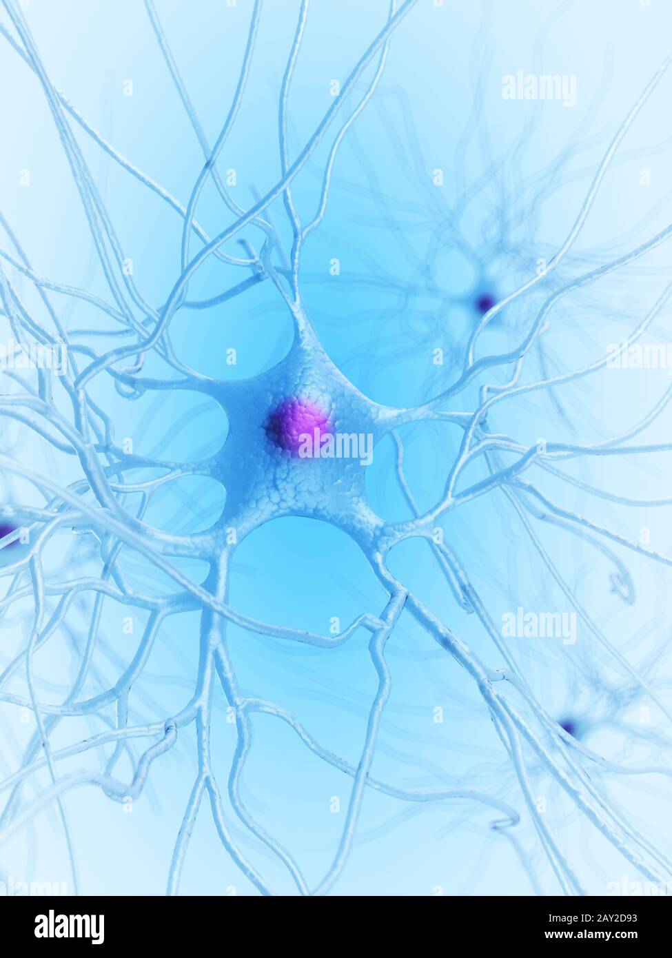 3d rendered illustration of a nerve cell Stock Photo - Alamy