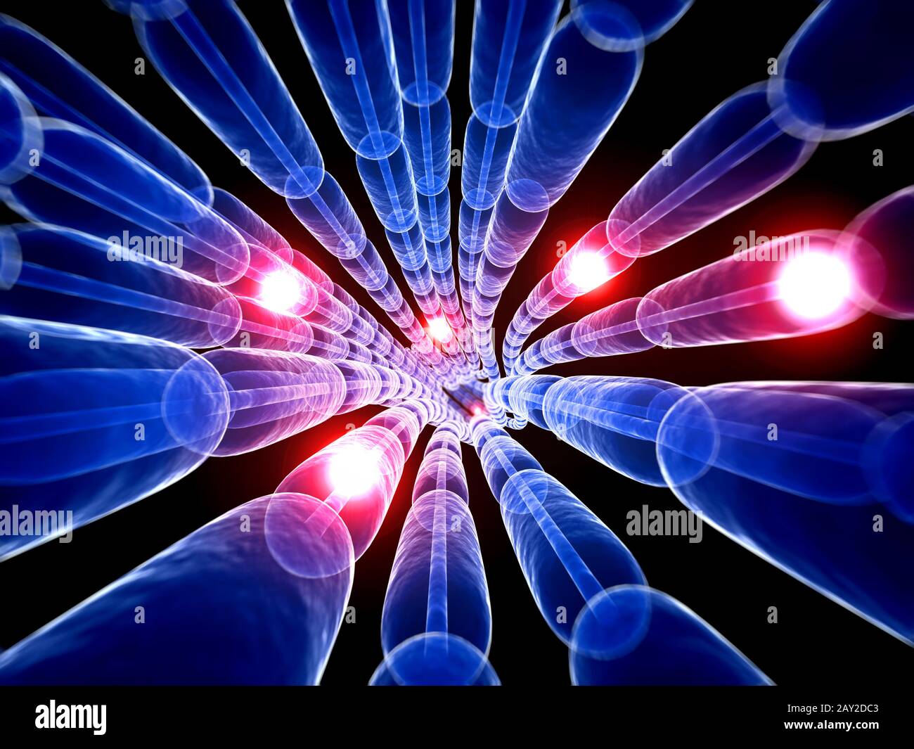 3d rendered medical illustration - active nerve tracts Stock Photo - Alamy