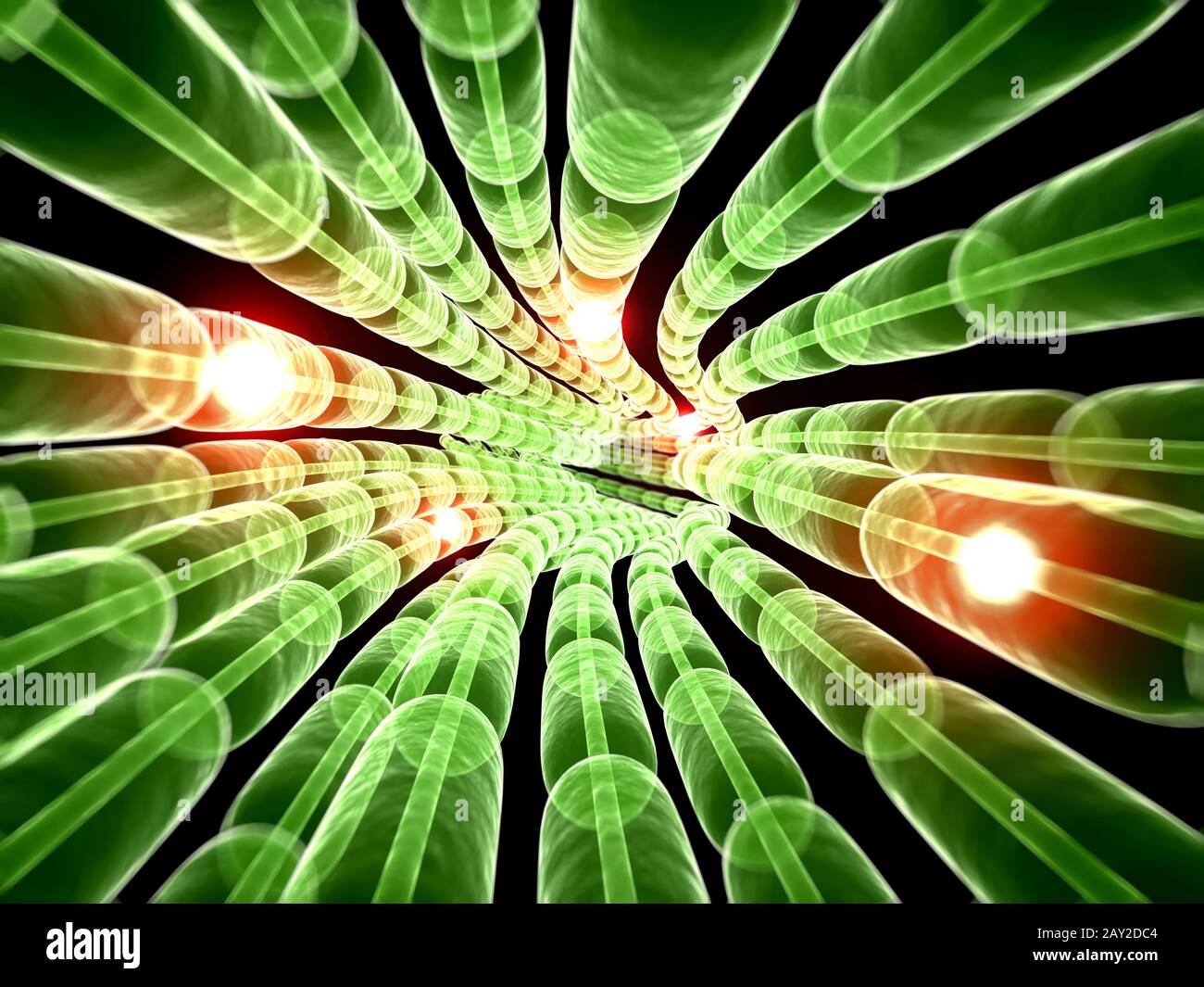 Neural tract hi-res stock photography and images - Alamy