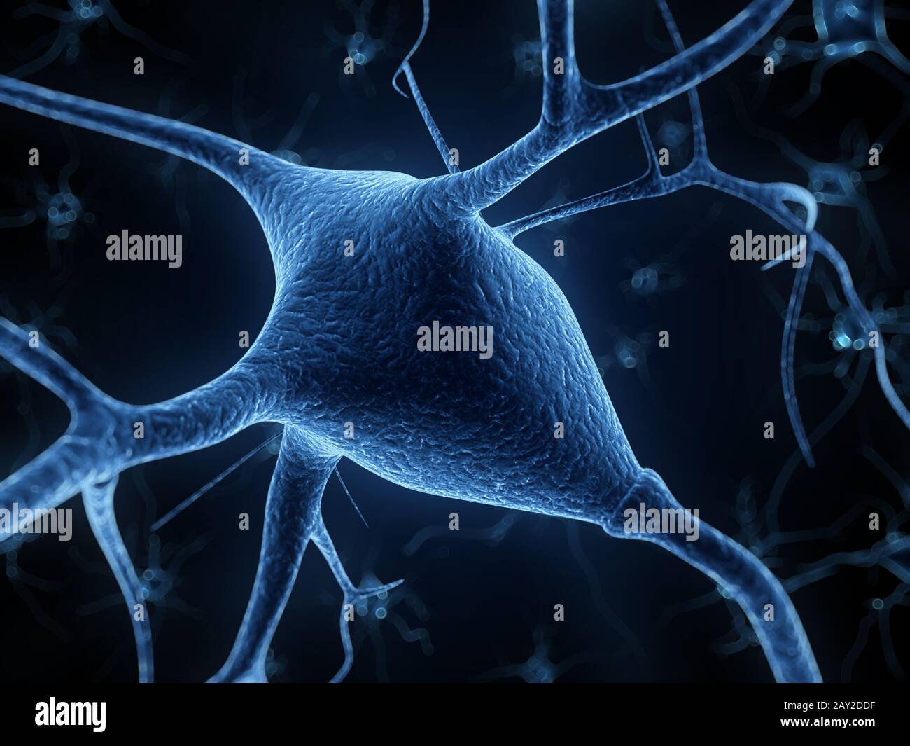 3d rendered illustration - nerve cell Stock Photo - Alamy