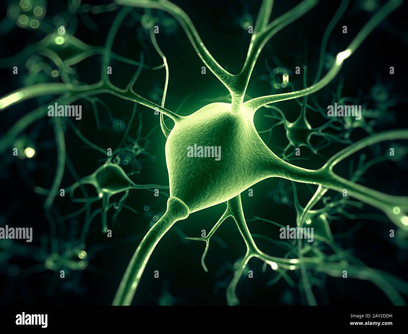 3d rendered illustration of a nerve cell Stock Photo - Alamy