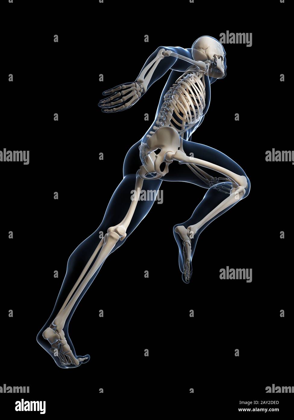 Runner transparent hi-res stock photography and images - Alamy