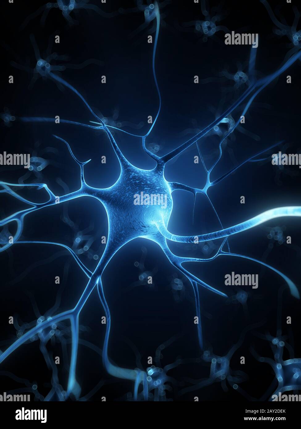 3d rendered illustration - nerve cell Stock Photo - Alamy