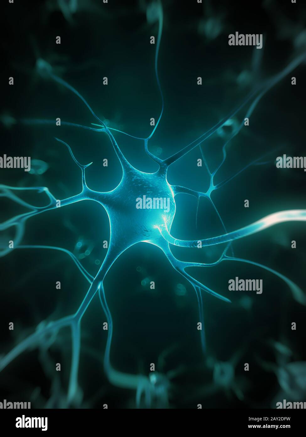 3d rendered illustration of a nerve cell Stock Photo - Alamy