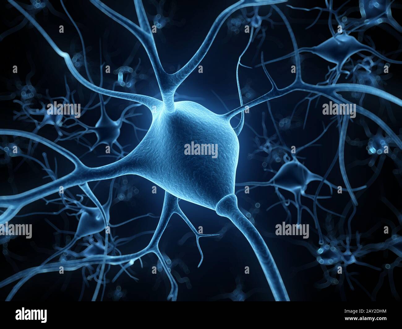 3d rendered illustration - nerve cell Stock Photo - Alamy