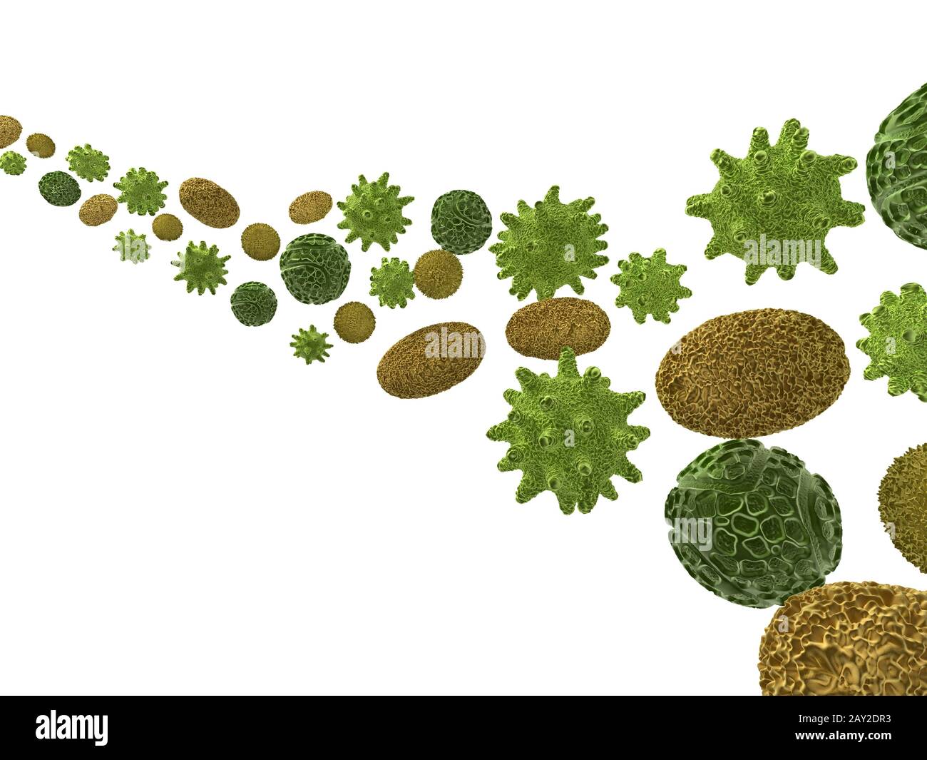 3d rendered illustration of some pollen Stock Photo - Alamy