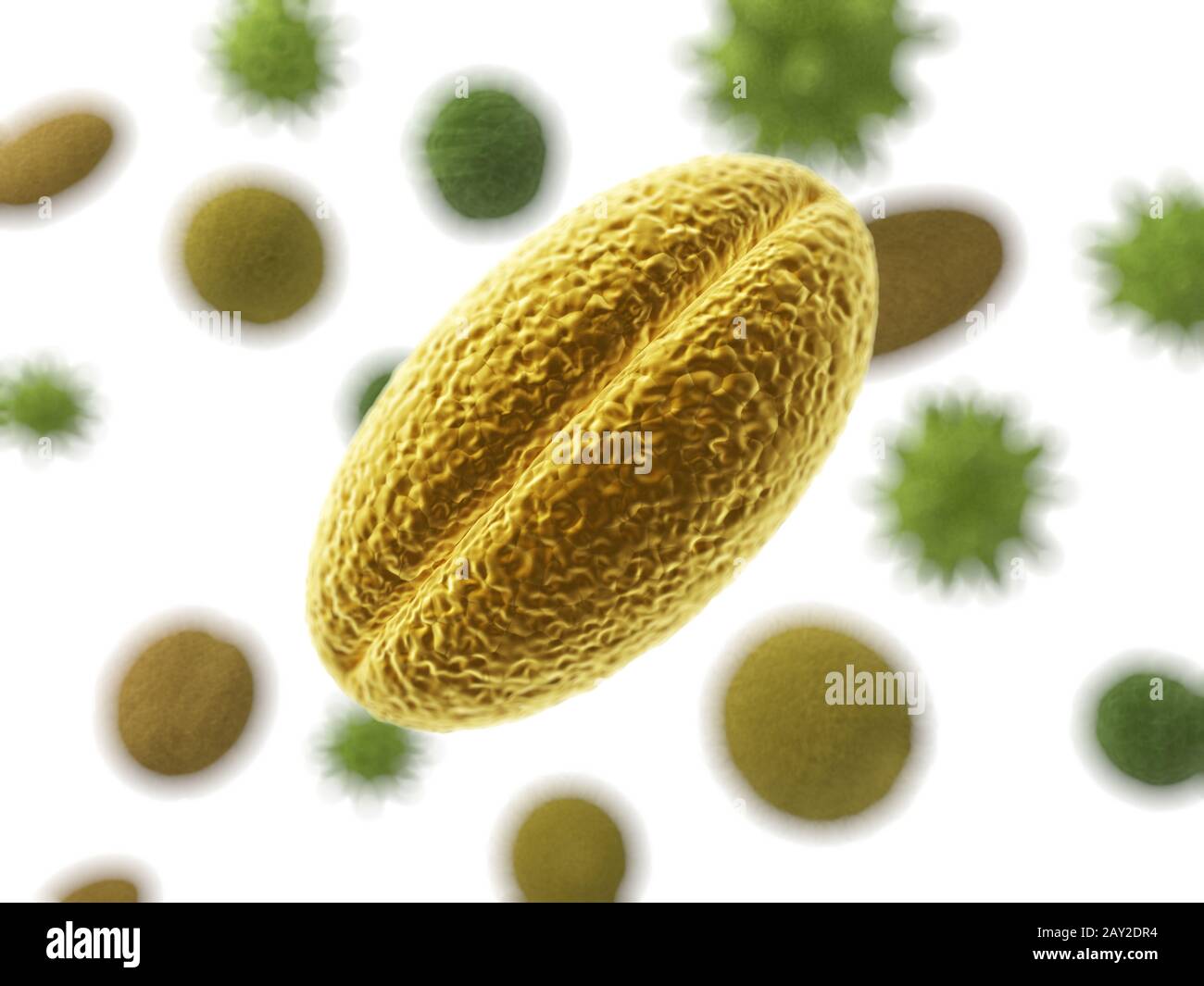 3d rendered illustration of pollen particles Stock Photo - Alamy