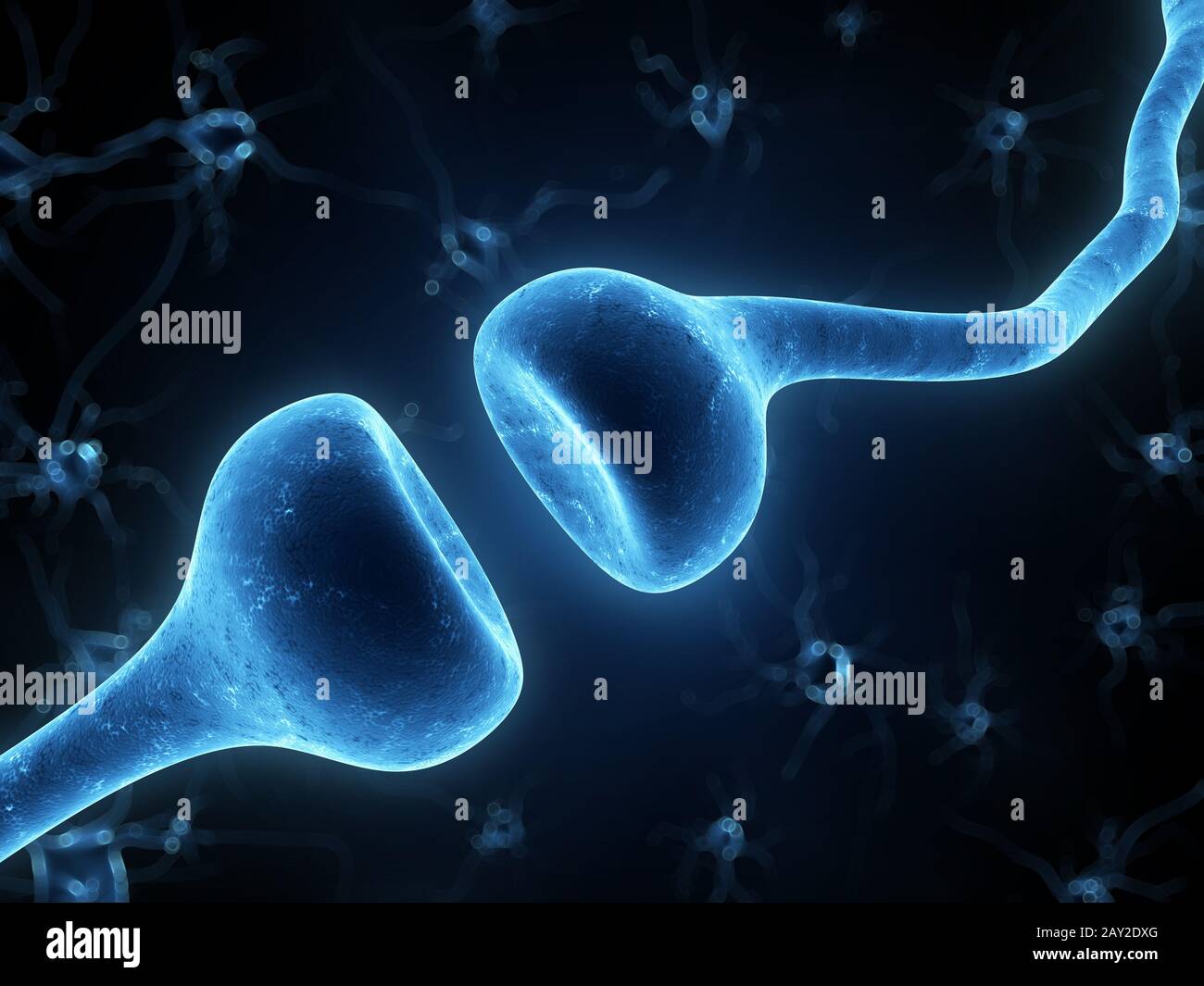 3d rendered illustration of a human receptor Stock Photo - Alamy