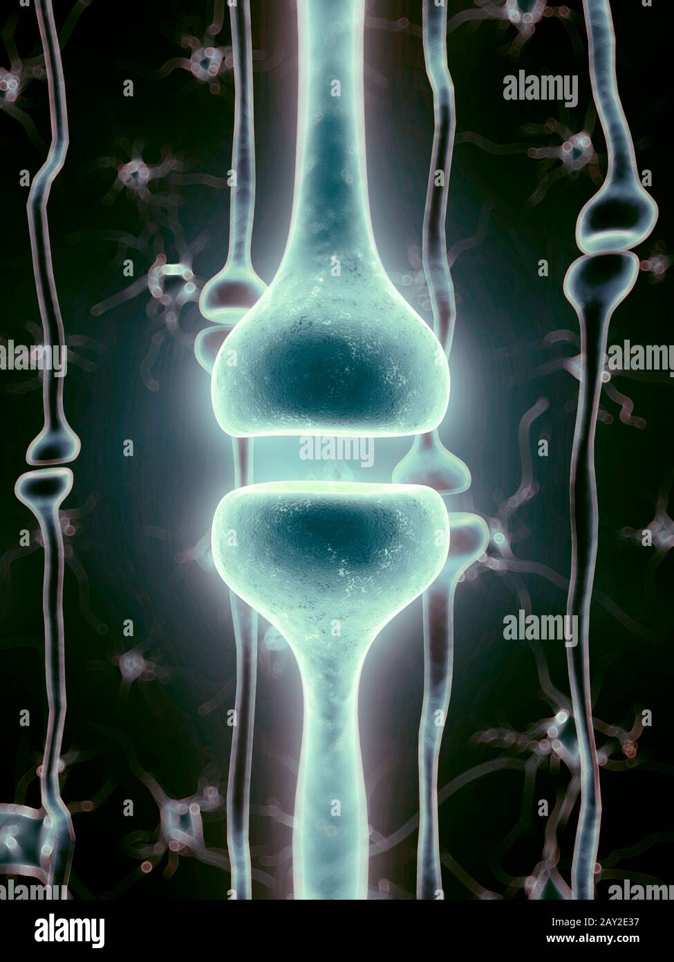 3d rendered illustration of a nerve receptor Stock Photo - Alamy