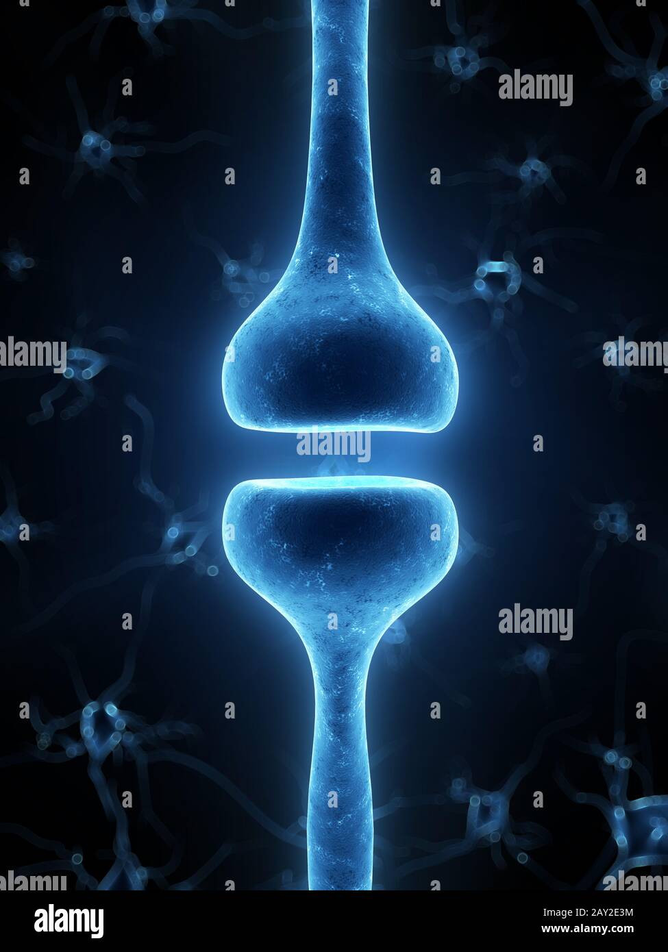 3d rendered illustration of a human receptor Stock Photo - Alamy