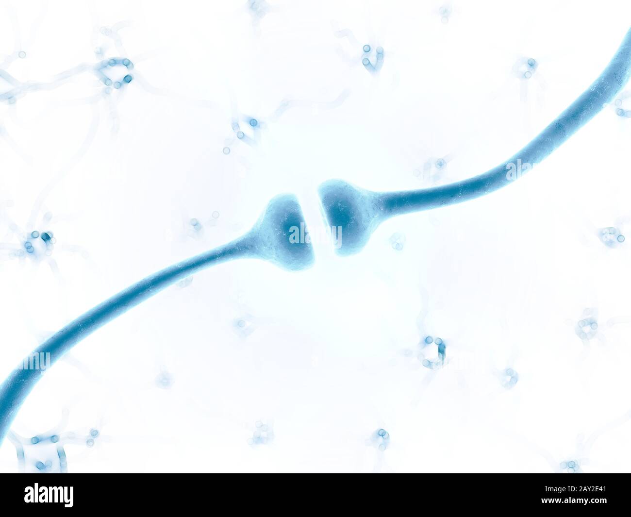 3d rendered illustration of a human receptor Stock Photo - Alamy