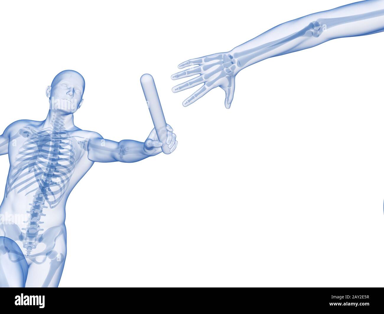 relay - visible skeleton Stock Photo - Alamy