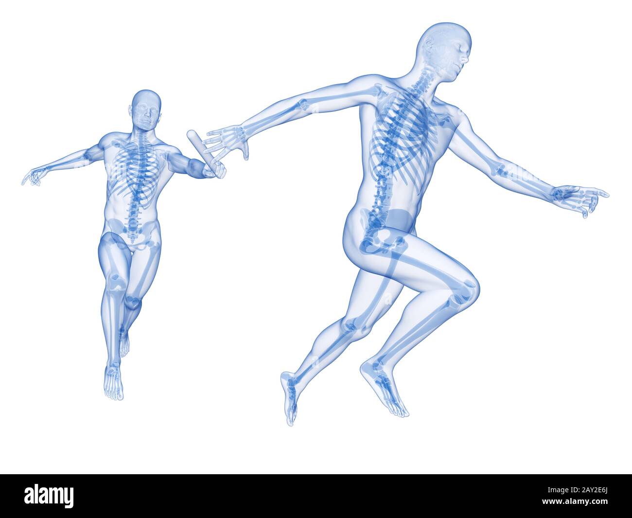 relay - visible skeleton Stock Photo - Alamy