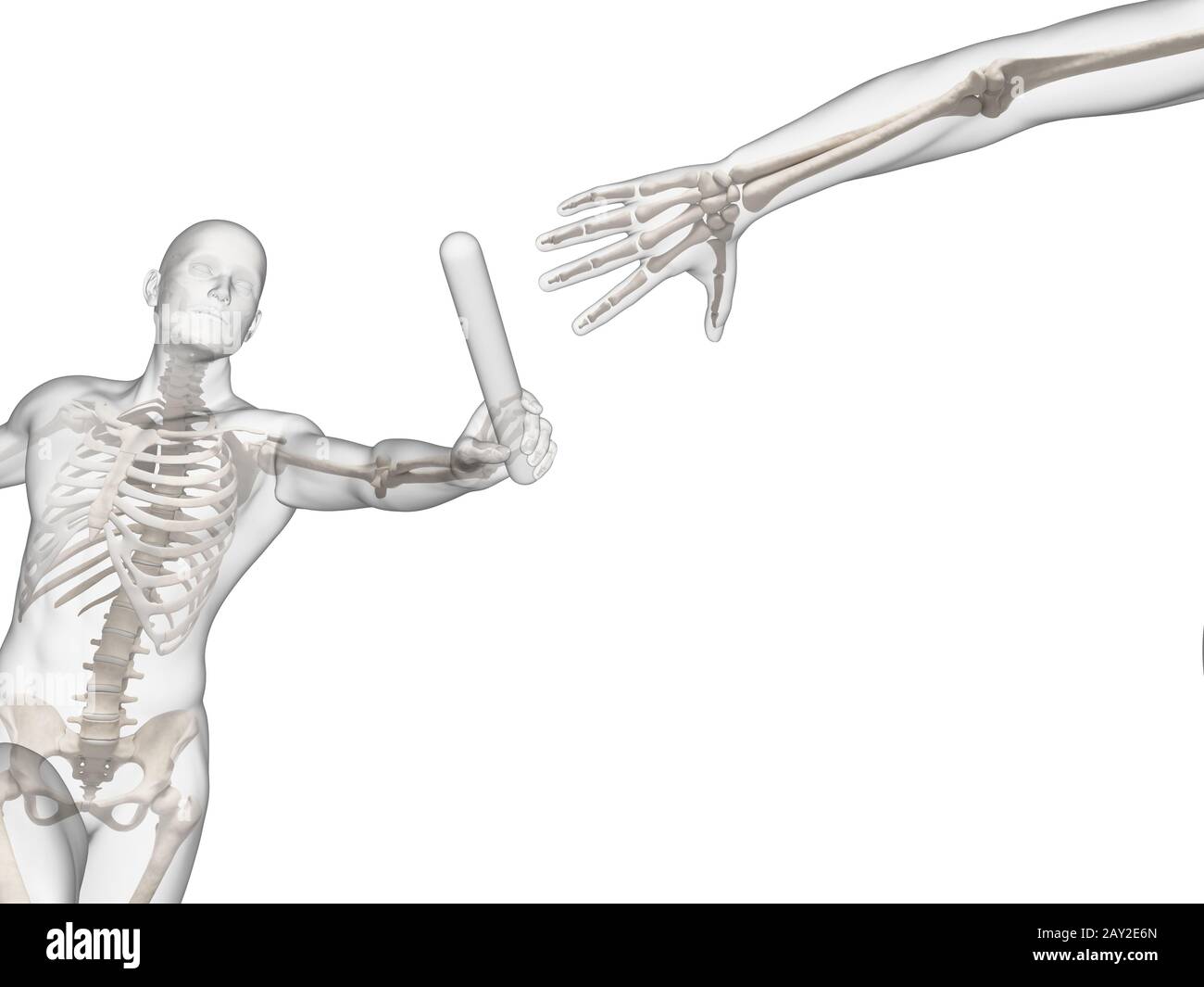 relay - visible skeleton Stock Photo - Alamy