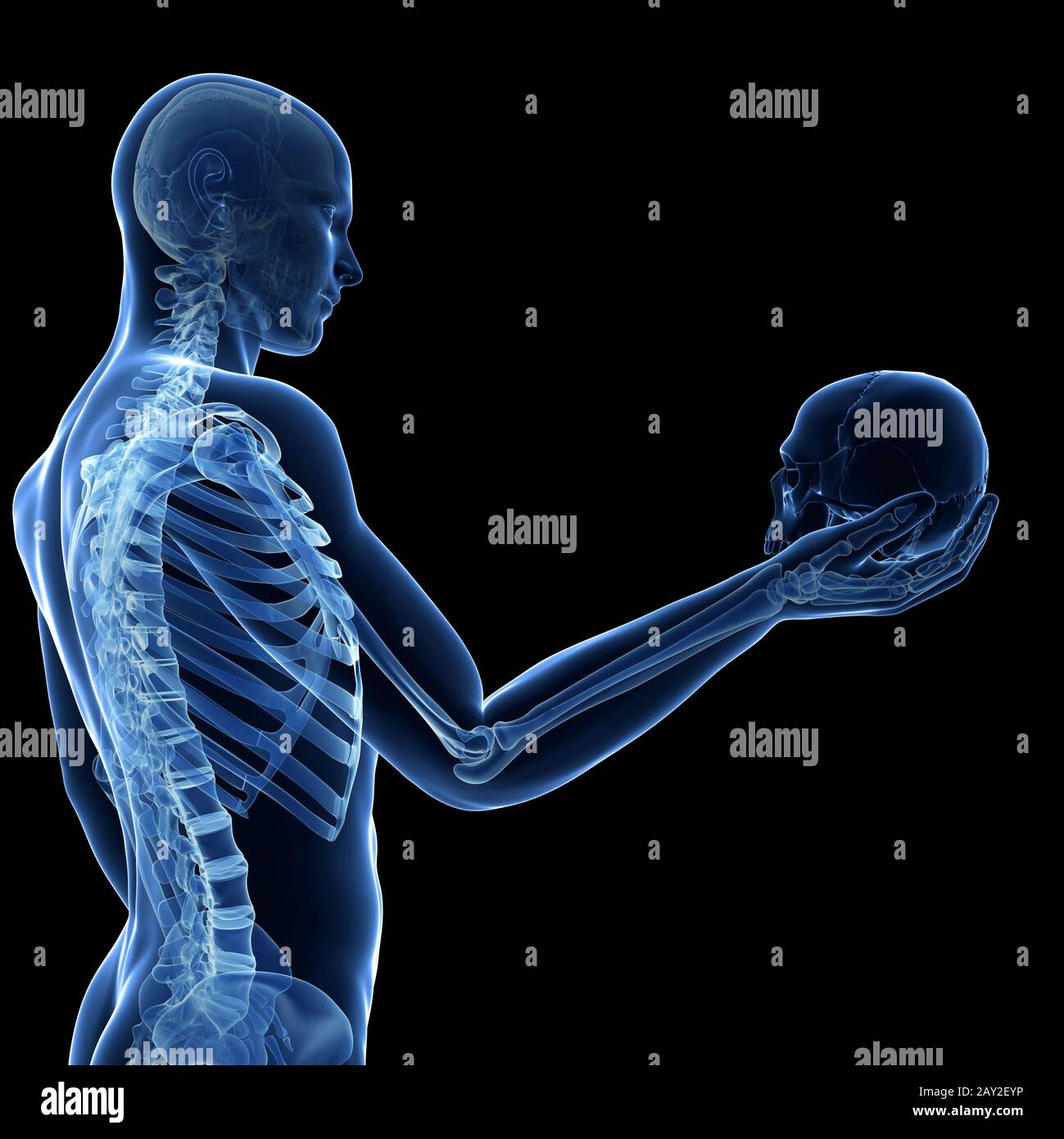guy holding skull - visible skeleton Stock Photo - Alamy