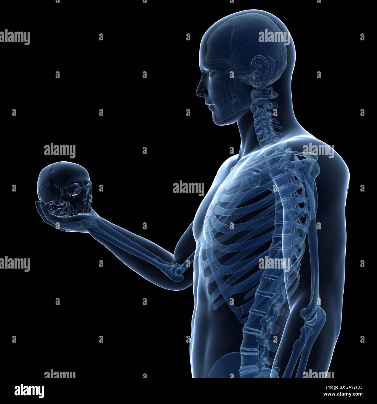 guy holding skull - visible skeleton Stock Photo - Alamy