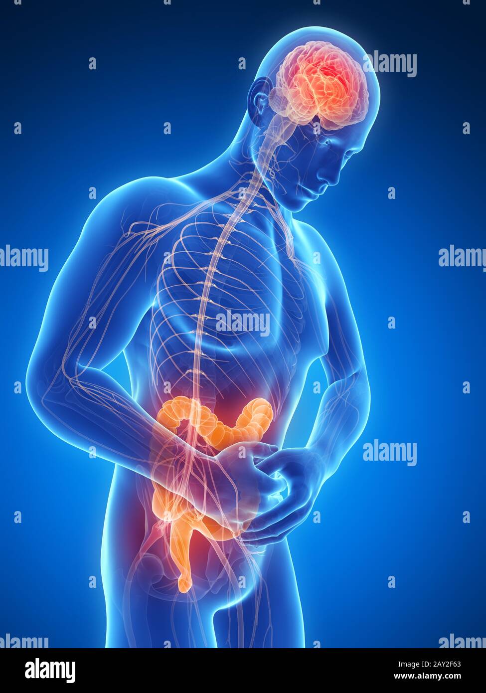 3d rendered illustration of a man having bellyache Stock Photo - Alamy