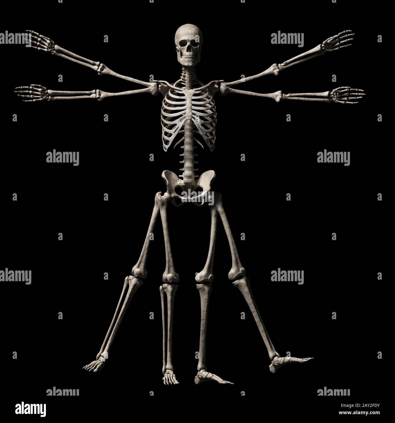 Male skeleton, artwork hi-res stock photography and images - Alamy