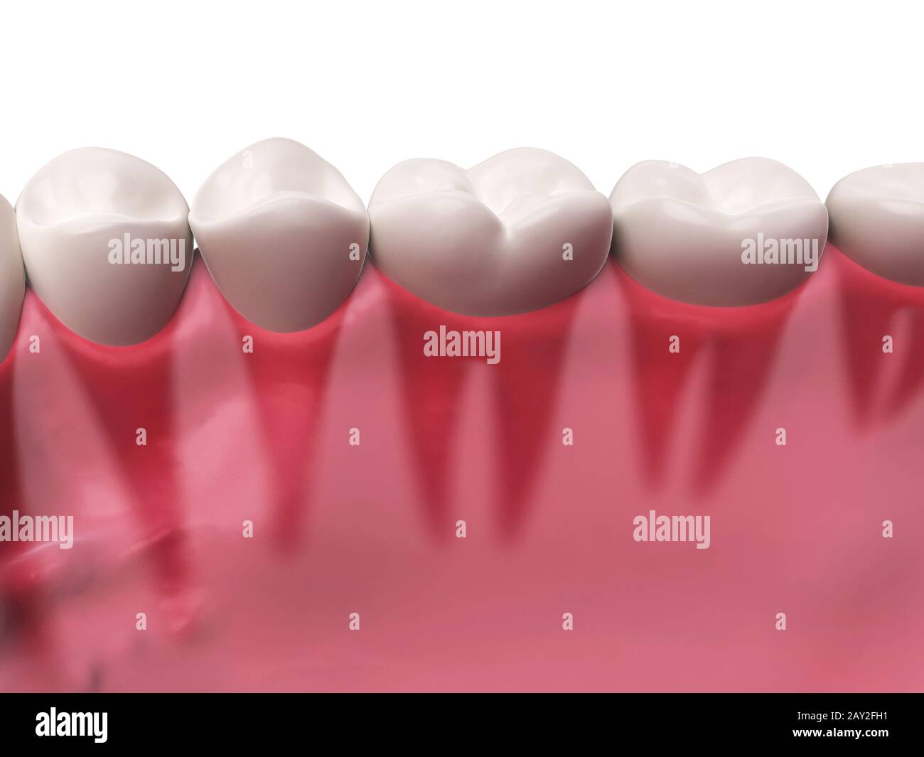 Lower teeth hi-res stock photography and images - Alamy