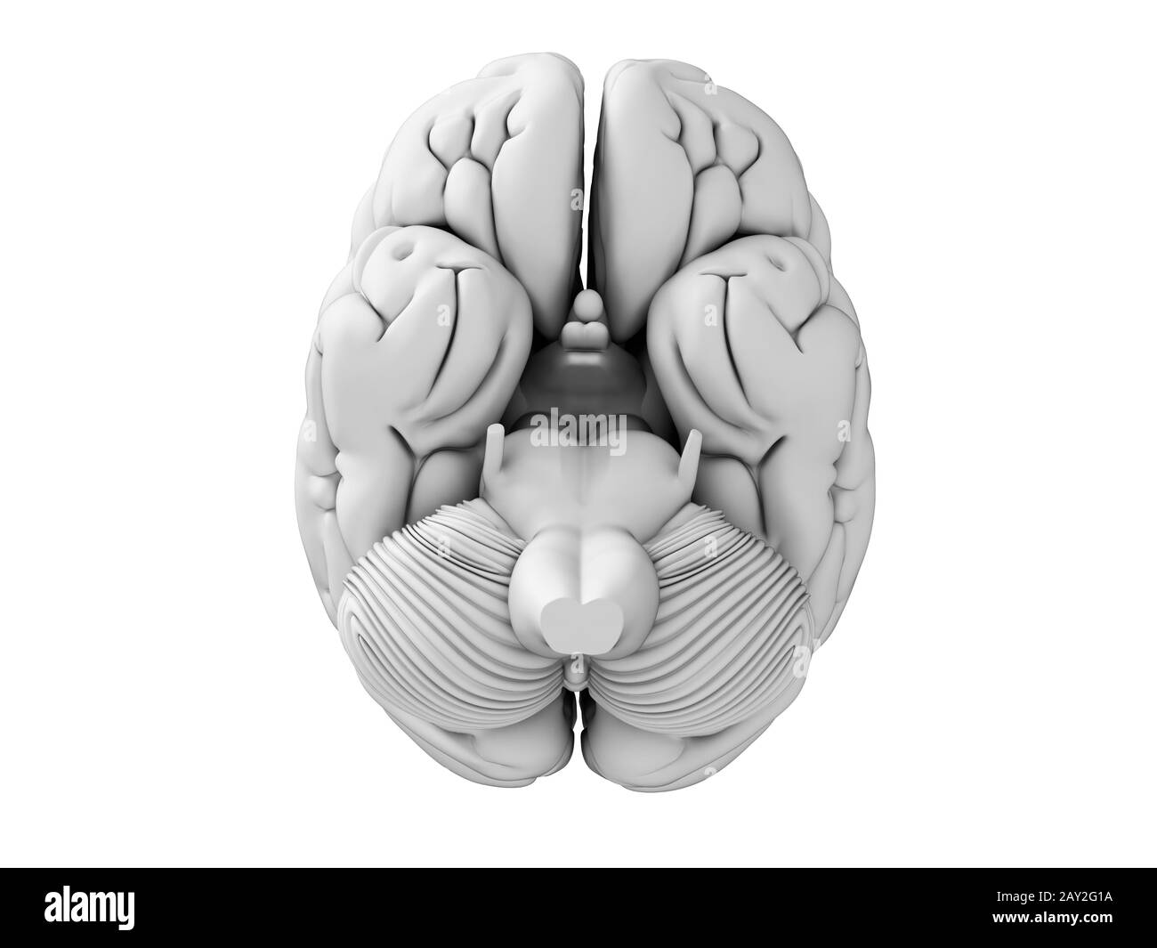 3d illustration of plastic surgery hi-res stock photography and images ...