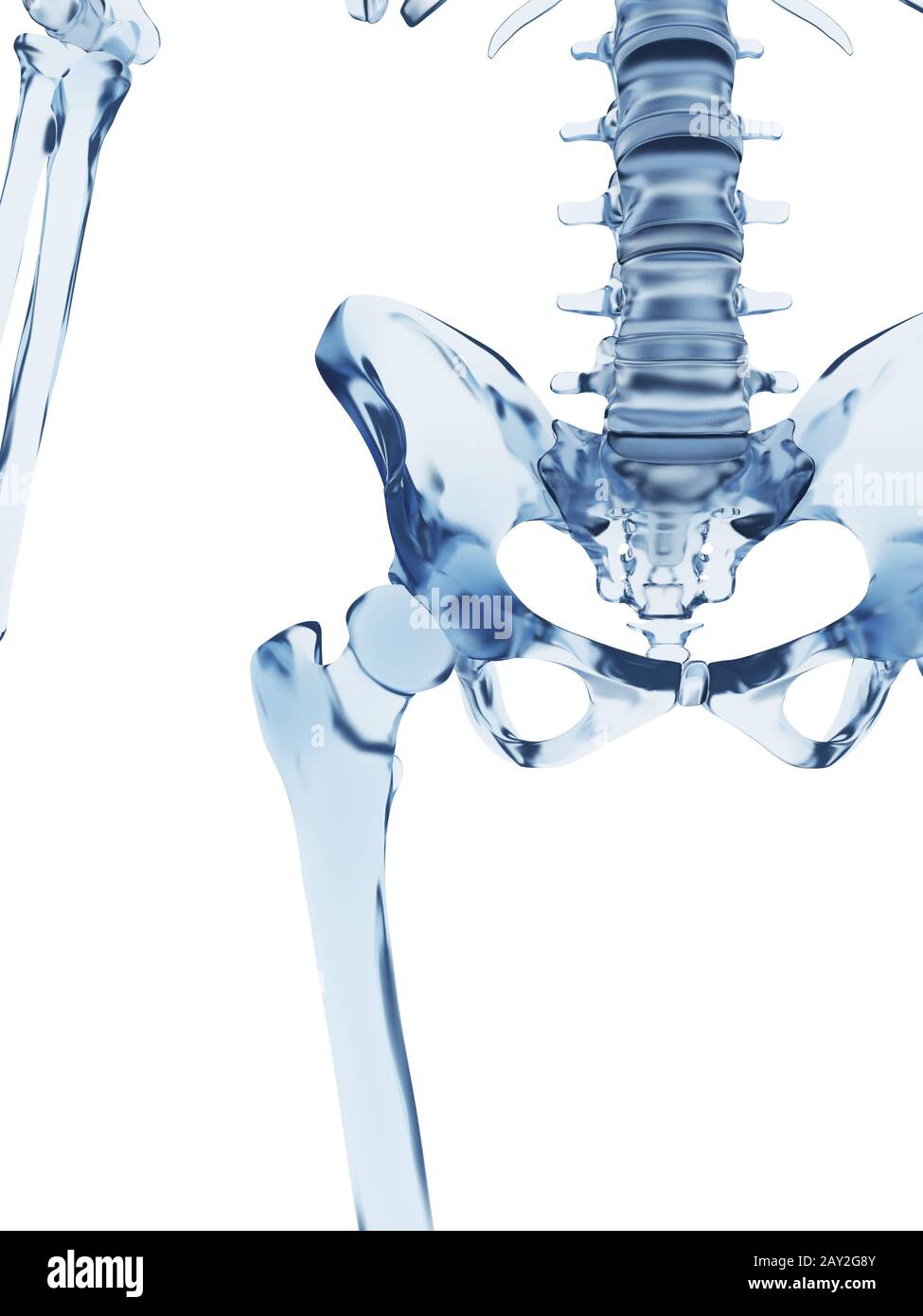 3d rendered illustration of a glass skeleton Stock Photo - Alamy