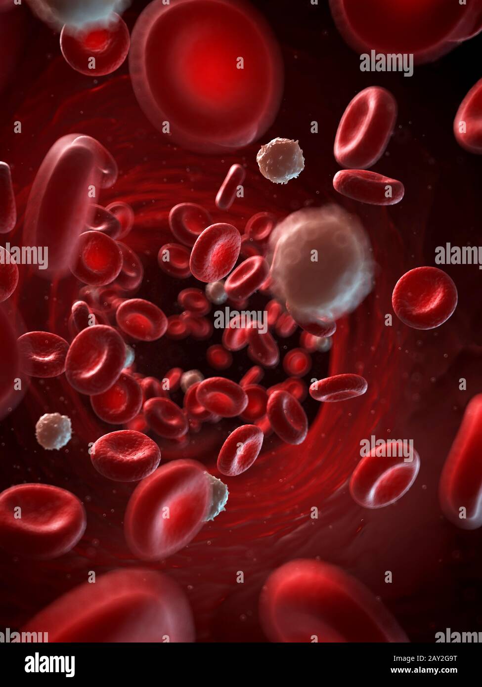 3d rendered illustration of the human blood Stock Photo - Alamy