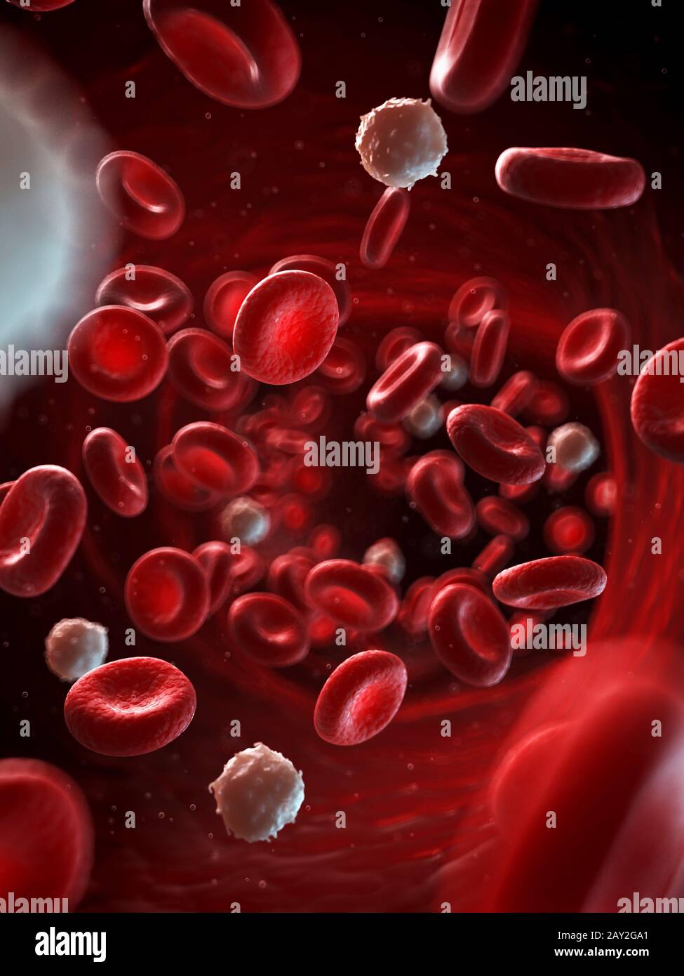 3d rendered illustration of the human blood Stock Photo - Alamy