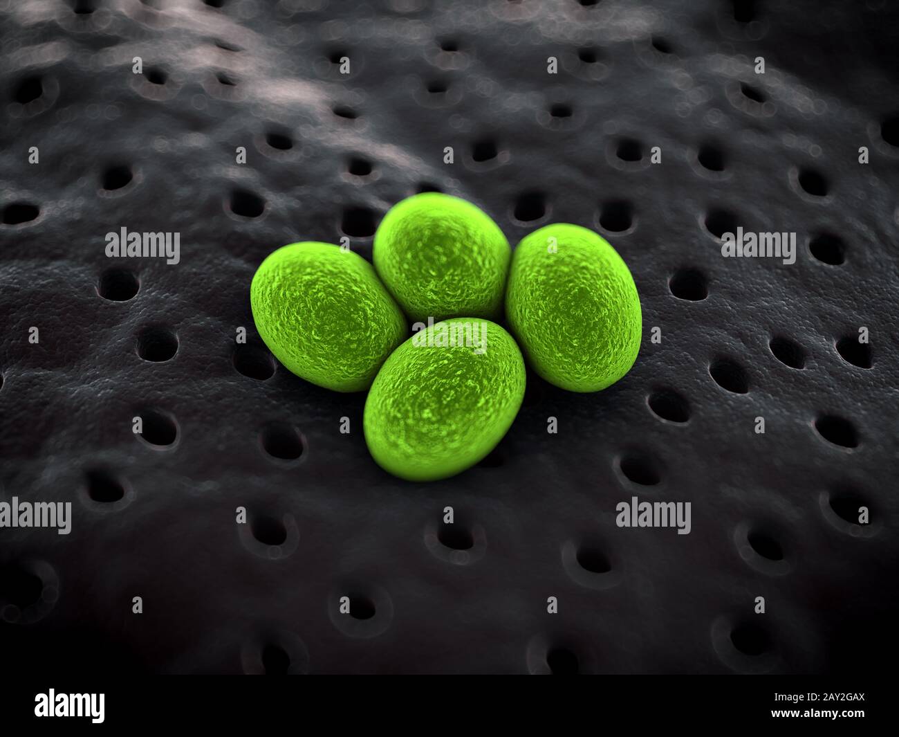 3d rendered scientific illustration of some bacteria Stock Photo - Alamy