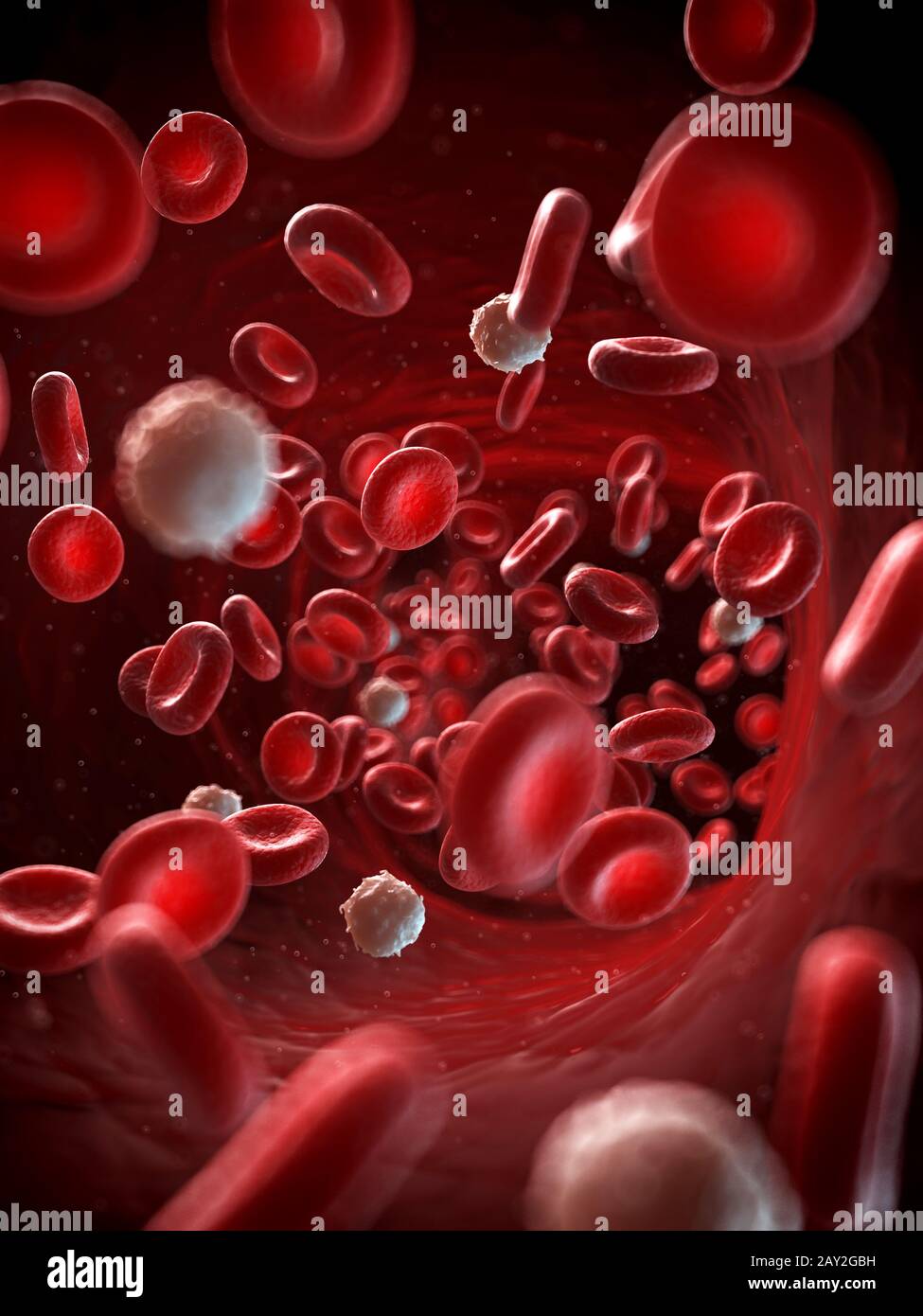 3d rendered illustration of the human blood Stock Photo - Alamy