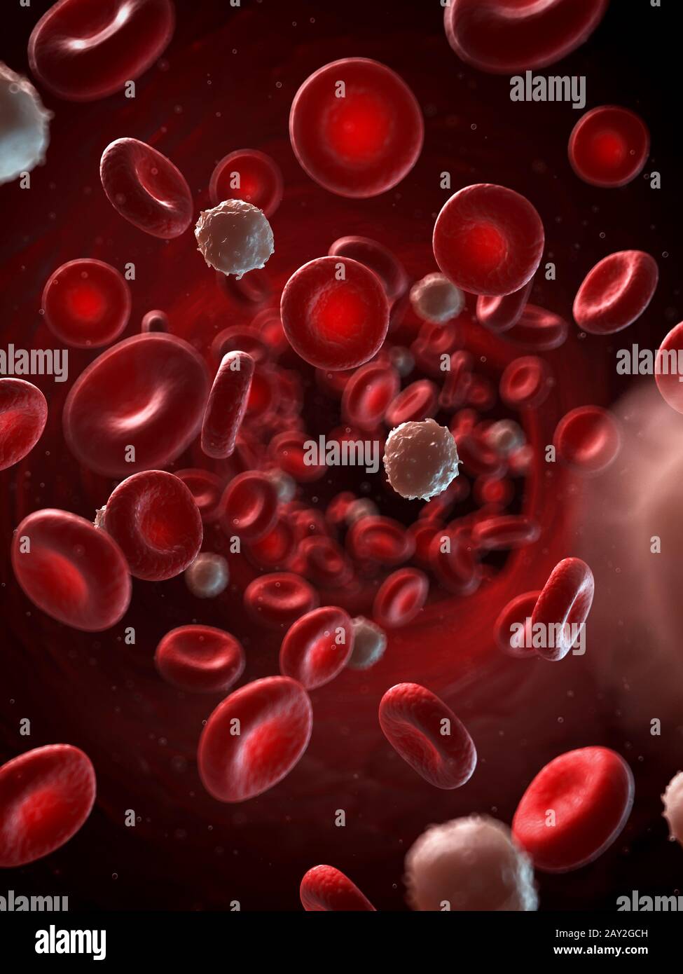 3d rendered illustration of the human blood Stock Photo - Alamy