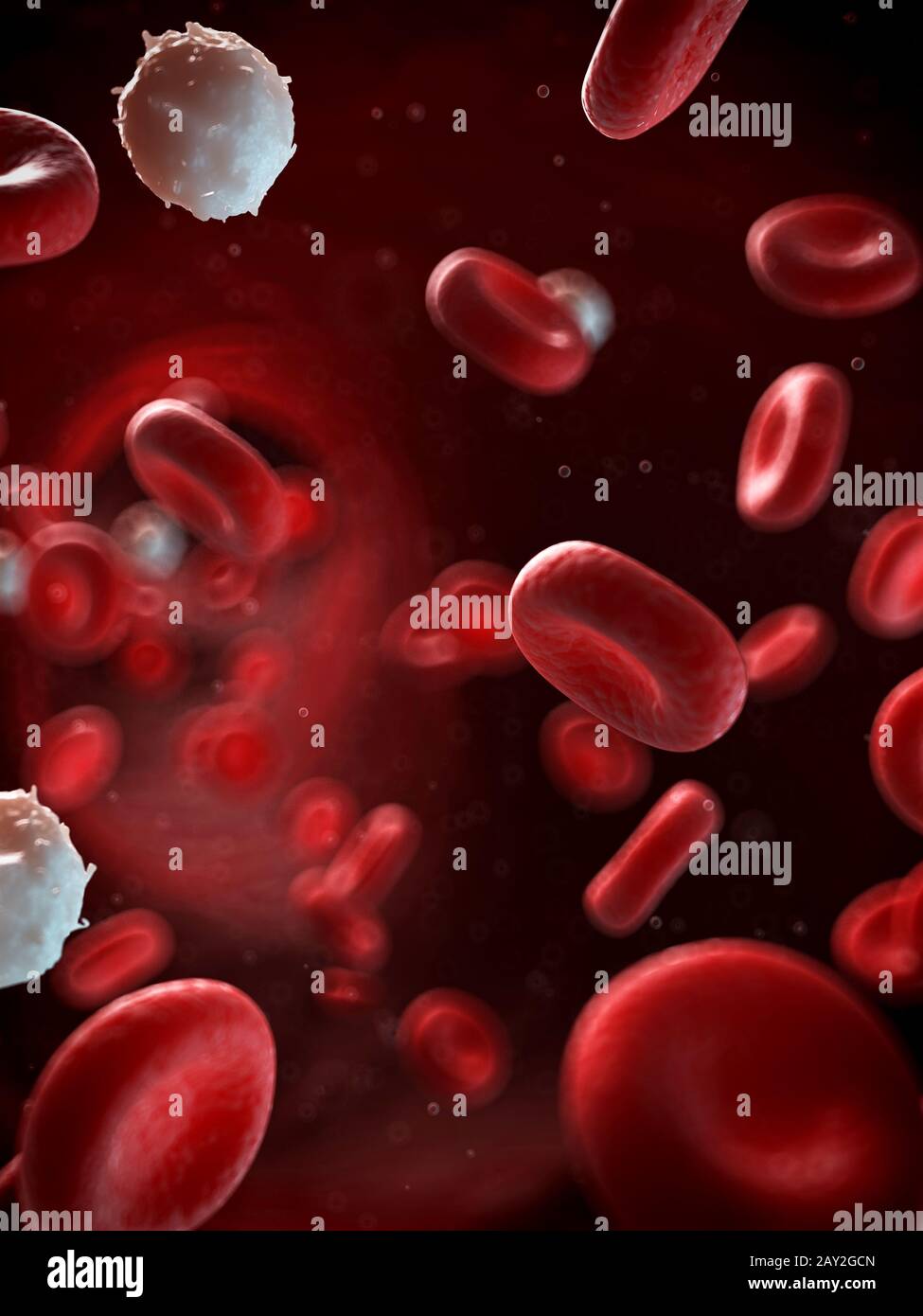 3d rendered illustration of the human blood Stock Photo - Alamy